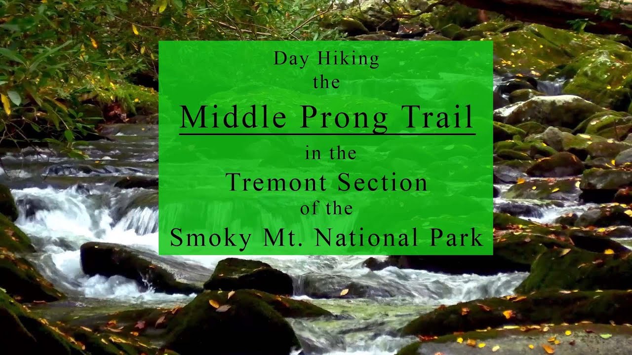 Day Hiking the Middle Prong Trail - YouTube
