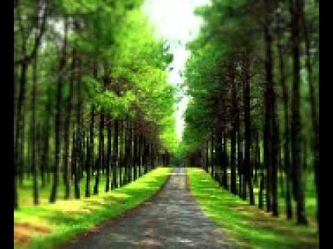 Cingiz Imisli Hesderxan