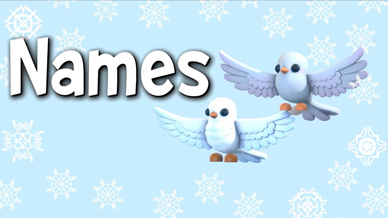 25+ NAMES FOR TURTLE DOVES IN ADOPT ME ROBLOX CHRISTMAS UPDATE - YouTube