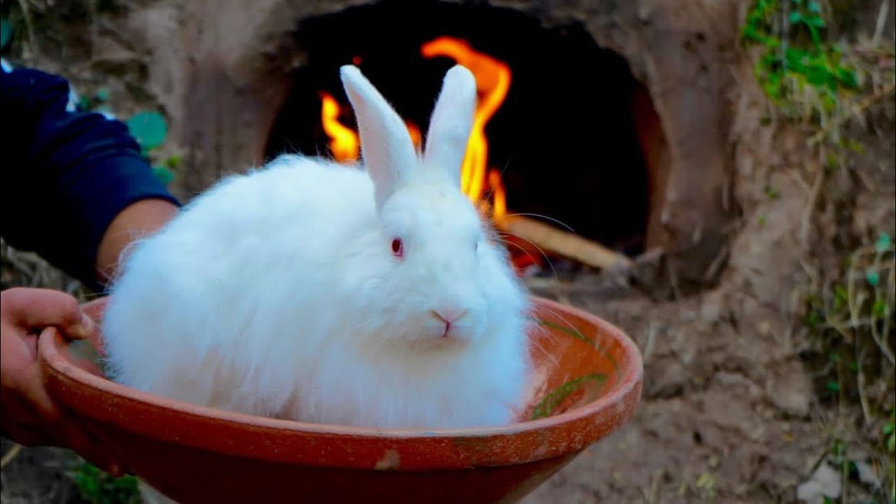 Mud Oven Rabbit Roasting: A Deliciously Primitive Cooking Adventure in ...