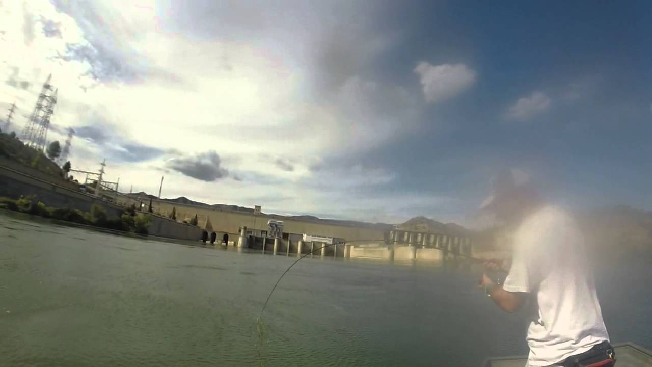 PANIC & Milos Cvijic - 2.06m Catfish with Ultra-Light Tackle - YouTube