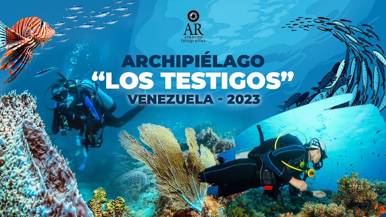 Buceo en el Archipiélago Los Testigos en Venezuela - YouTube