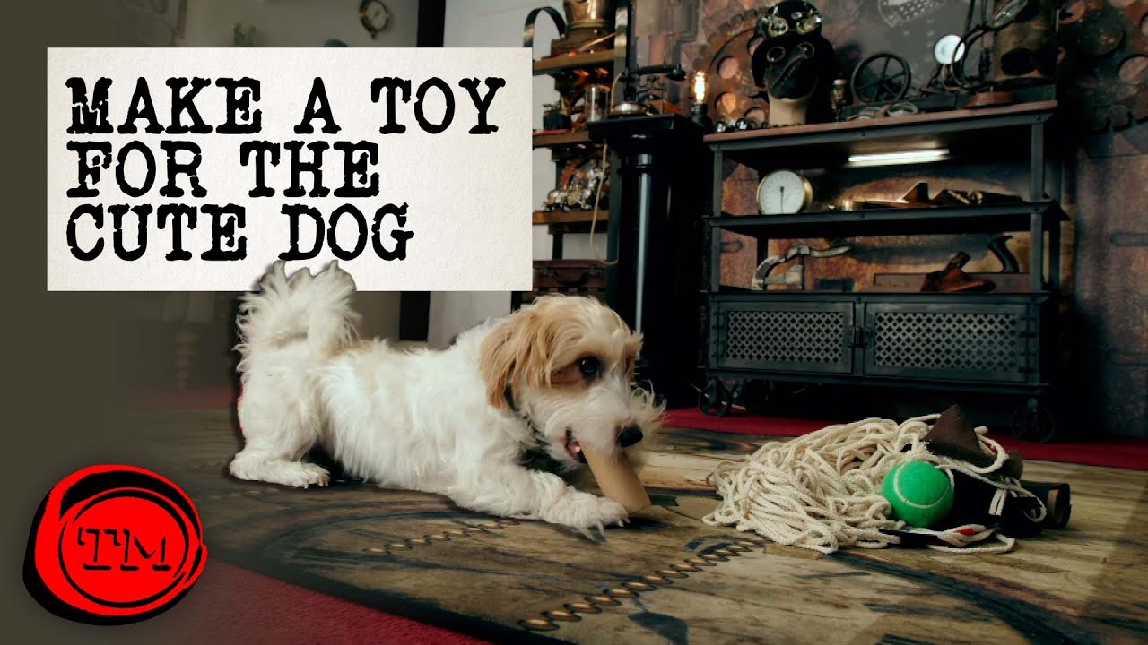 The CUTEST Task Of All Time | Full Task | Taskmaster - YouTube