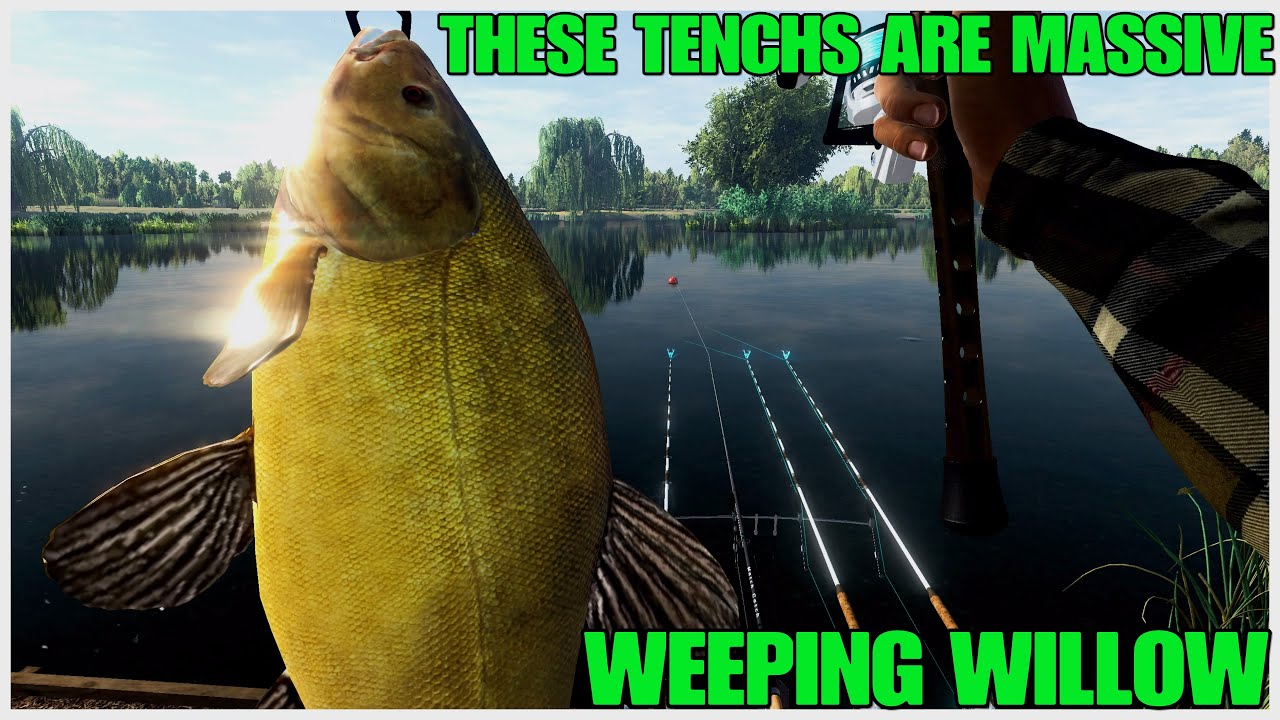 Massive Unique Tench Guide - At Weeping Willow - Fishing Planet - YouTube