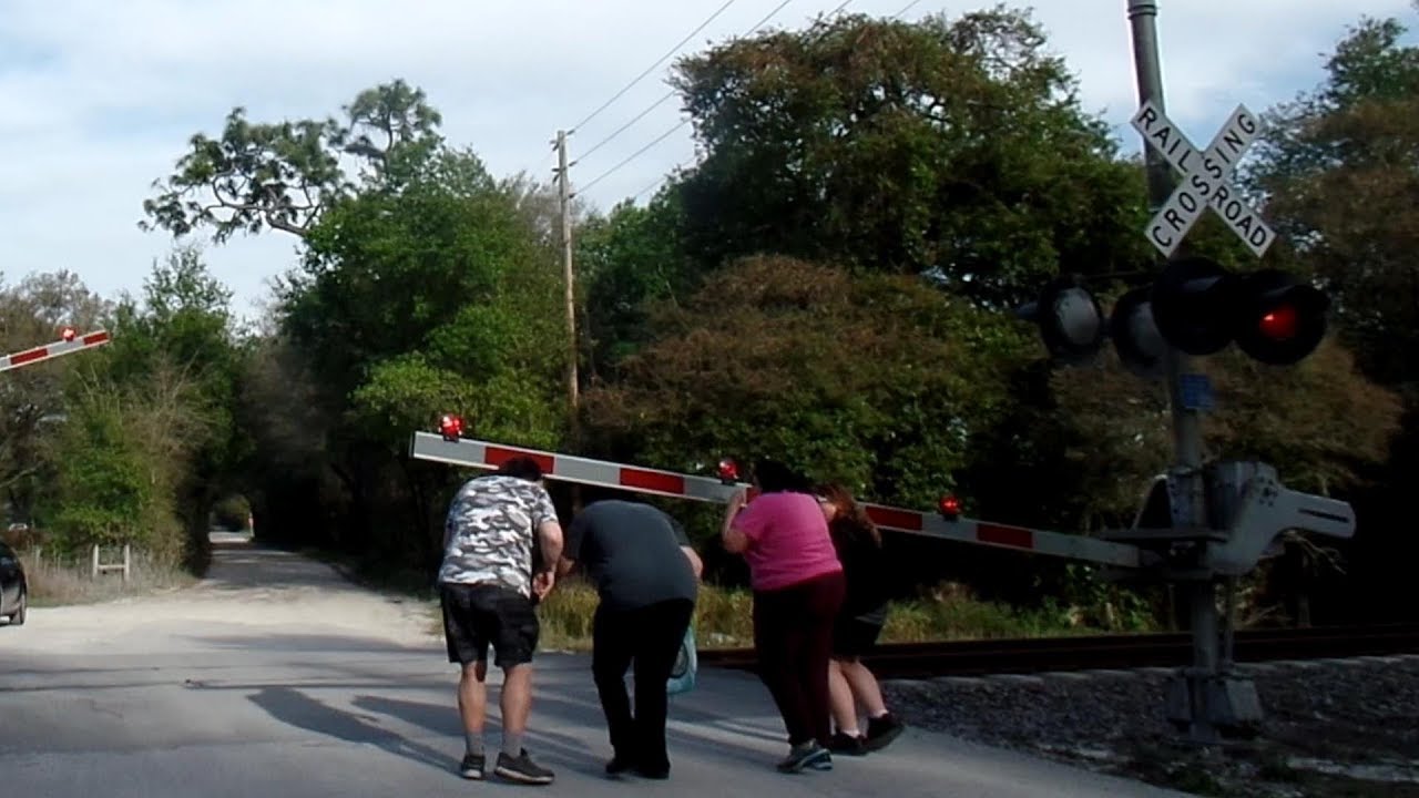Group Gets Hit On The Head Chasing Trains - YouTube