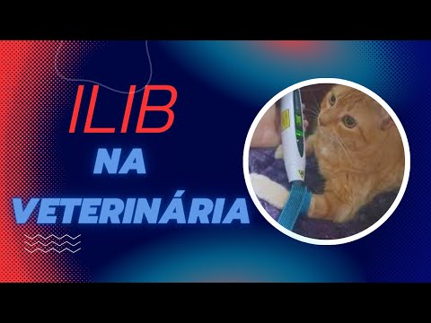 ILIB para Pets: Adeus à Dor e Inflamação do seu Amigo Peludo!