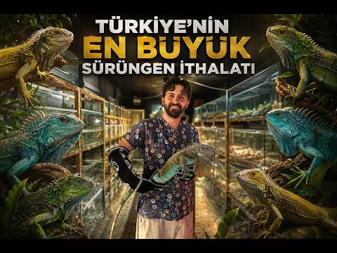 BU KADARINI BİZ BİLE BEKLEMİYORDUK! TÜRKİYE'NİN EN BÜYÜK SÜRÜNGEN İTHALATI