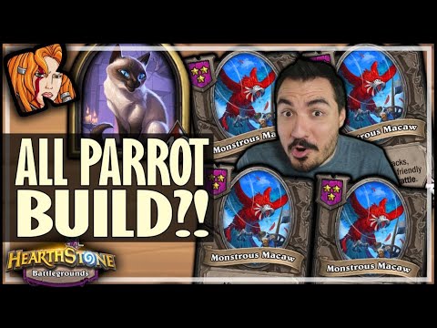 THE ALL PARROT BUILD! - Hearthstone Battlegrounds - YouTube