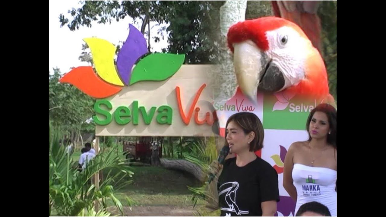 #Turismo: Selva Viva Park en San Martín Rumizapa - YouTube