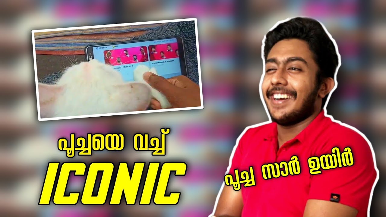 Even Cat's are getting Iconic Moment 😂🔥🚶 - YouTube