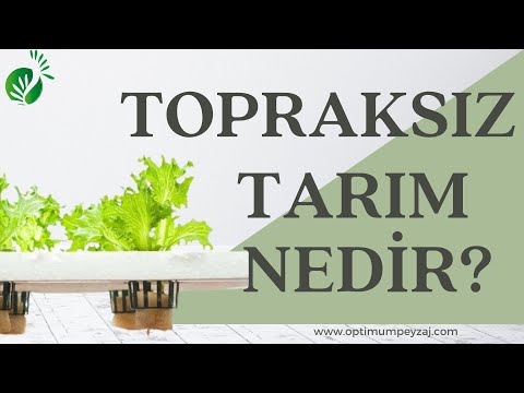 TOPRAKSIZ TARIM NEDİR? TOPRAKSIZ TARIM NASIL YAPILIR? TARIMDA TOPRAK YERİNE NE KULLANILIR?
