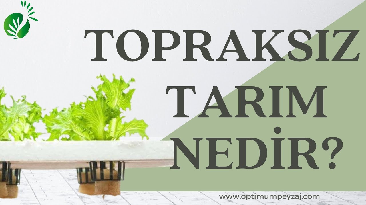 TOPRAKSIZ TARIM NEDİR? TOPRAKSIZ TARIM NASIL YAPILIR? TARIMDA TOPRAK ...