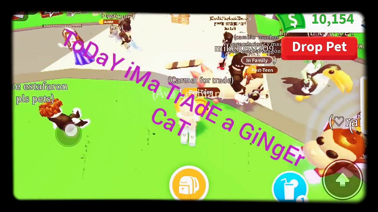 Trading ginger cat Roblox (Adopt me) - YouTube