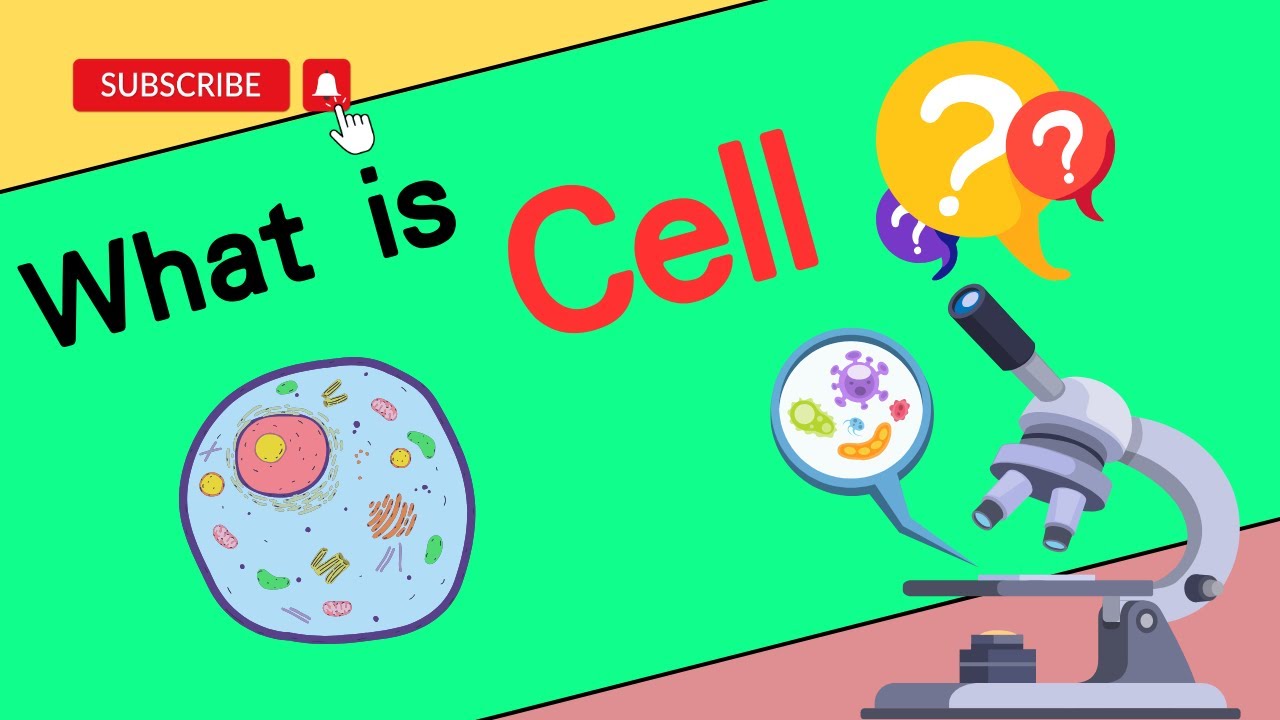 Mystery of cell: What are cells made up of - YouTube