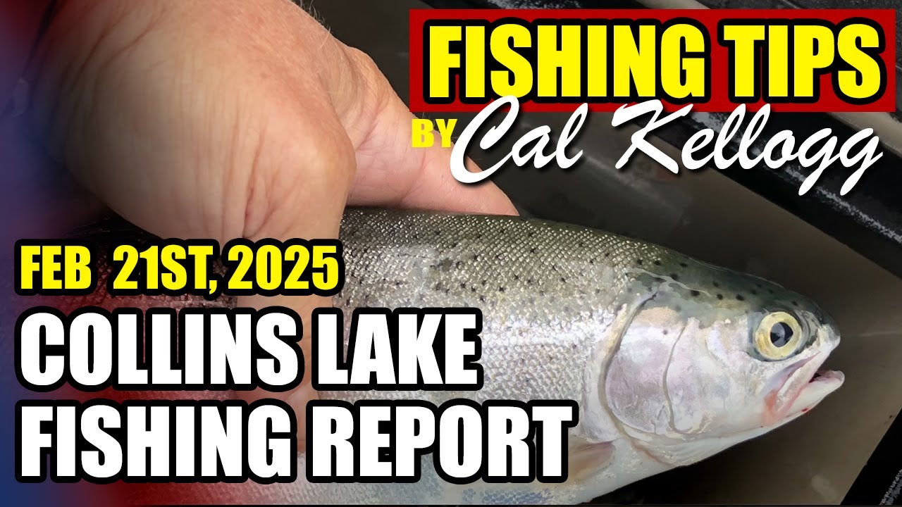 Collins Lake Report - Cal Kellogg's Fishing Tips | Feb 21, 2025 - YouTube