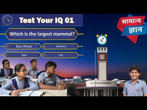 Unlocking the Secrets to Vidyagyan School Entrance Exam - YouTube