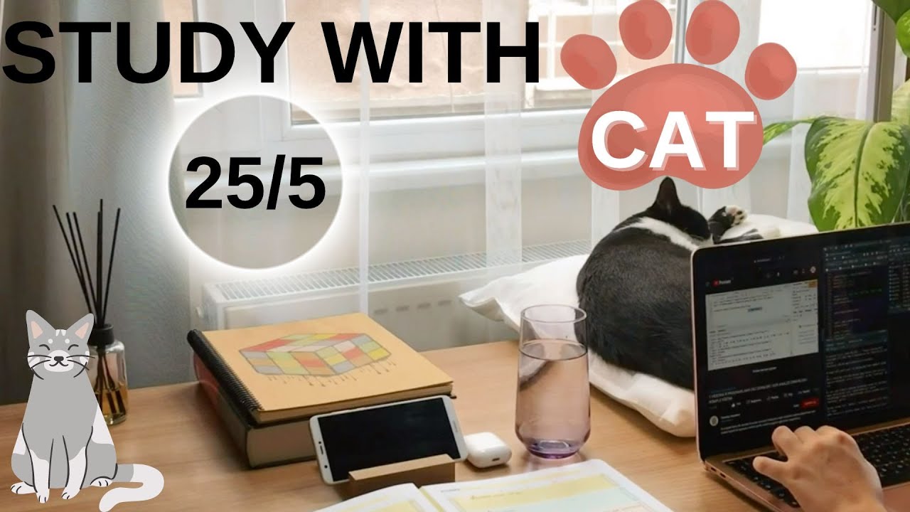 STUDY WITH US / ME & MY CAT🐱/study with me 🌧️RAIN SOUND for study ...