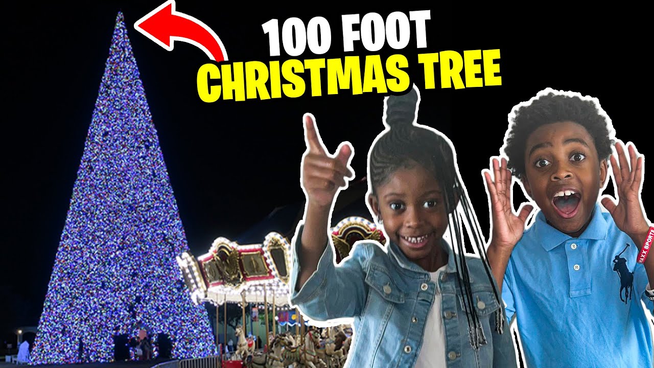 WORLD'S LARGEST CHRISTMAS TREE - 100 FT Tall! - YouTube
