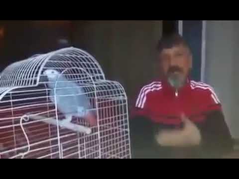 Baba Gündemde.