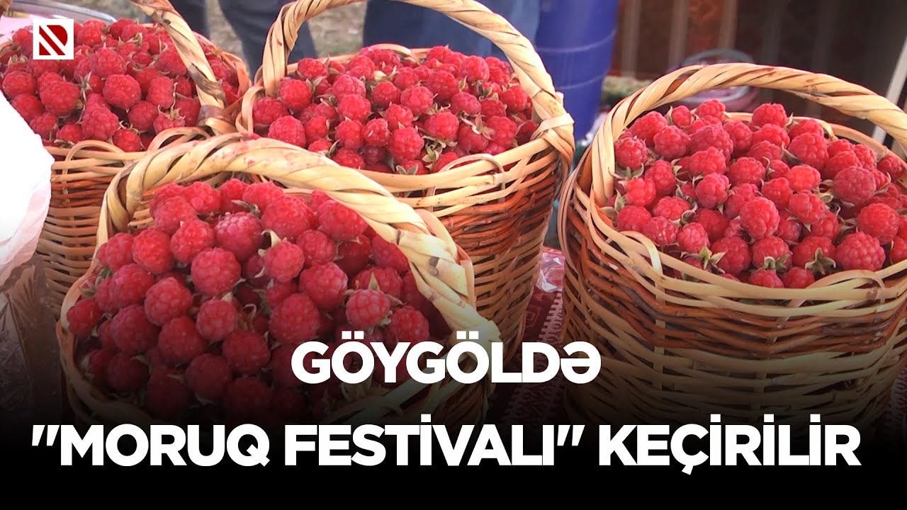 Göygöldə "Moruq festivalı" keçirilir - YouTube