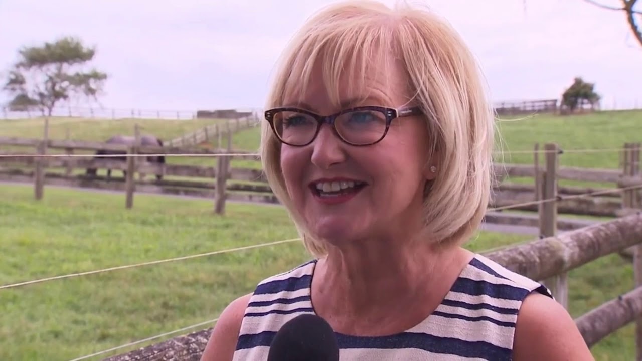 Gingernuts Returns - TAB TRACKSIDE Interview at Te Akau Stud - YouTube
