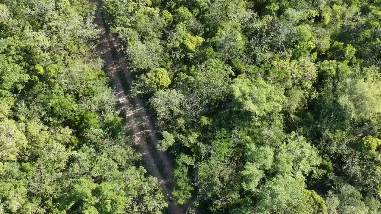 Travesia del Bosque Seco al Fuerte Caprón en Guanica Puerto Rico - YouTube