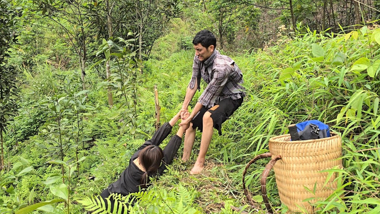 Horrific accident: a young girl accidentally fell into a ravine while ...