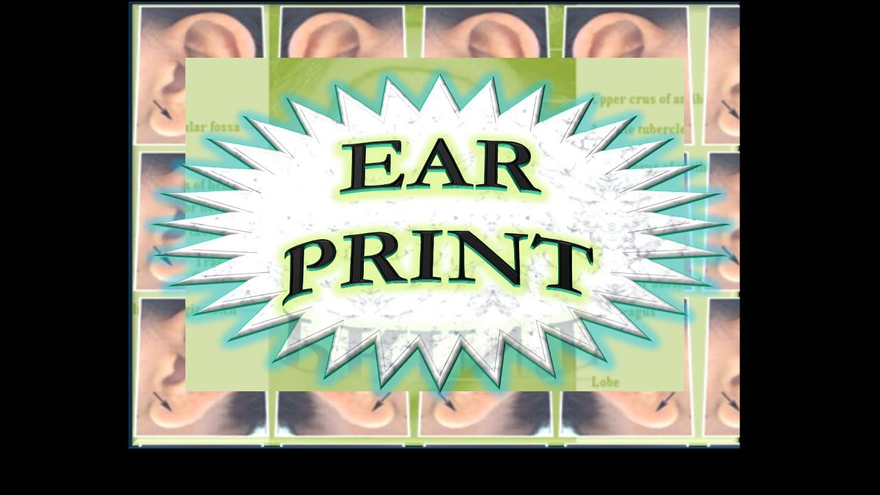 EARPRINT (easy notes) - YouTube