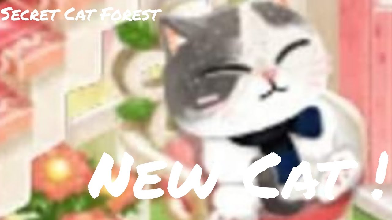 New Update - Secret Cat Forest - YouTube