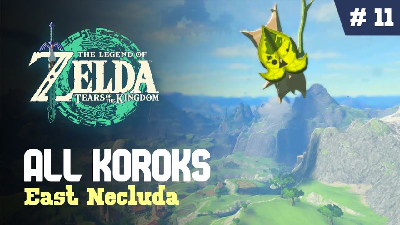 ALL East Necluda KOROK Seeds | Zelda Tears of the Kingdom - YouTube
