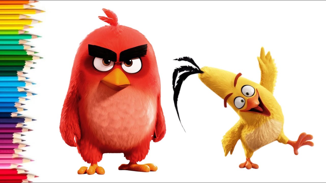 How to draw a red and chuck - How to draw an attractive red and chuck ...