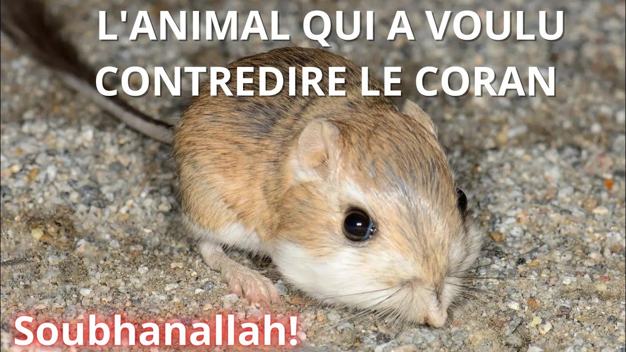 Allah dit : "Et nous avons fait de l'eau toute chose vivante" or cet ...