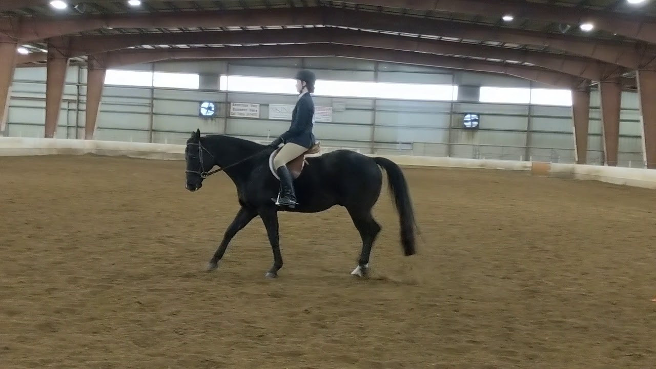 WAHSET HUNT SEAT EQ PATTERN 4TH PLACE 2/23/19 - YouTube