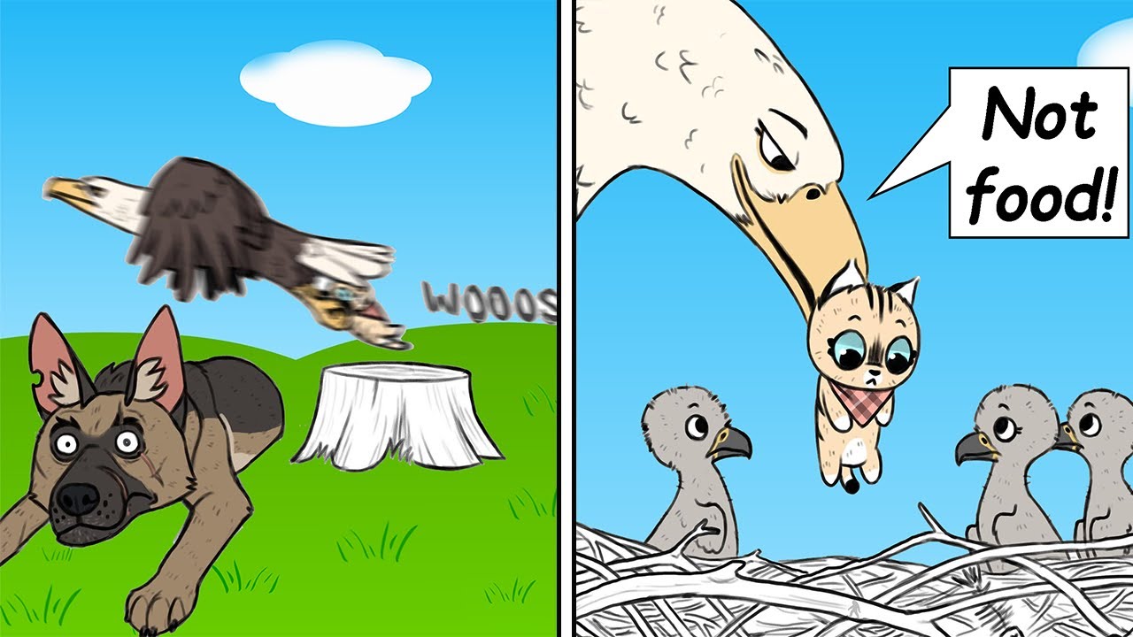 Military Dog and Cute Kitten Friendship - Pet Comic | Daily Comic #40 ...
