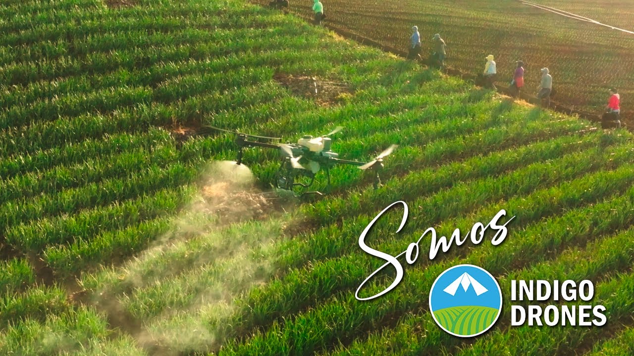 SOMOS INDIGO DRONES: DISTRIBUIDOR AUTORIZADO DE DJI AGRICULTURE EN ...