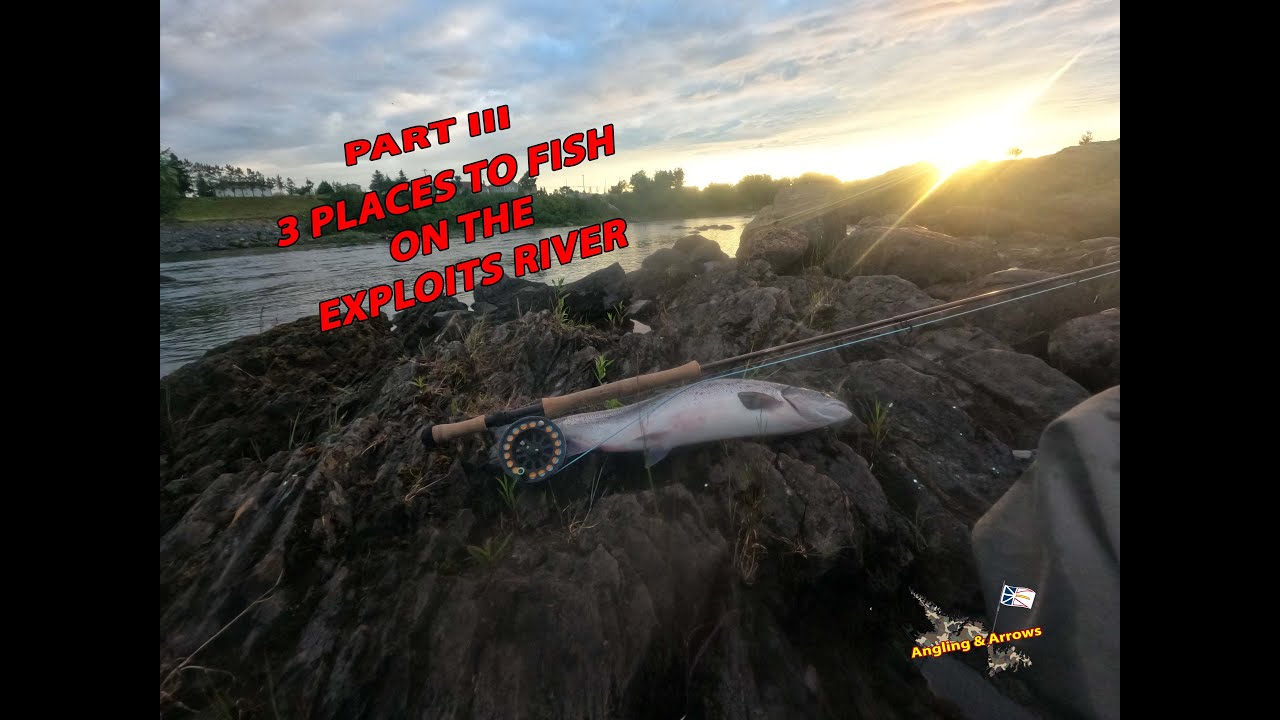 NEWFOUNDLAND'S EXPLOITS RIVER 3 PLACES TO FISH ANYONE CAN ACCESS - YouTube