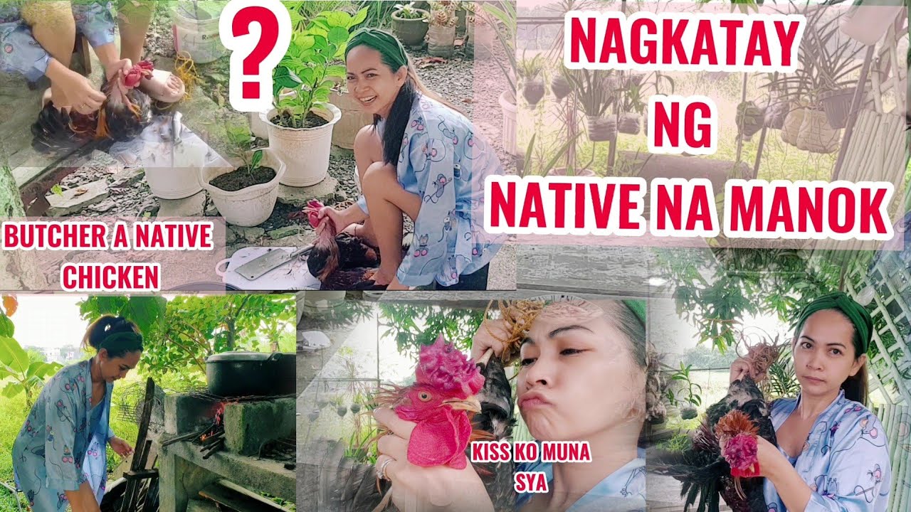 HOW BUTCHER A NATIVE CHICKEN? - YouTube