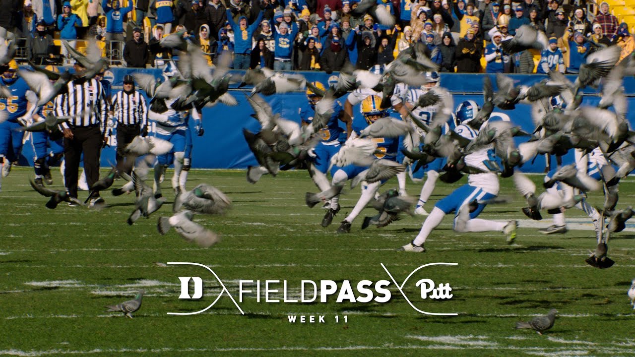 Pitt Football | Field Pass | Pitt 28, Duke 26 - YouTube