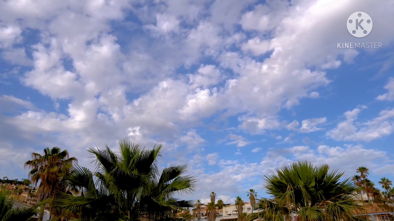 Summer reggae music + time lapse 4k sky background , copyright free ...