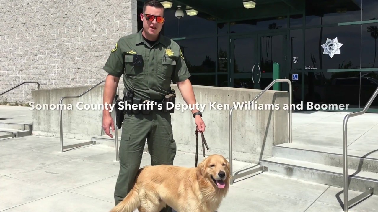 Boomer the Bomb Dog - YouTube