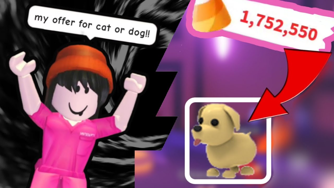 my offer for CAT or DOG 🐏😋offering 1.7 million candy *Join Time Reveal ...