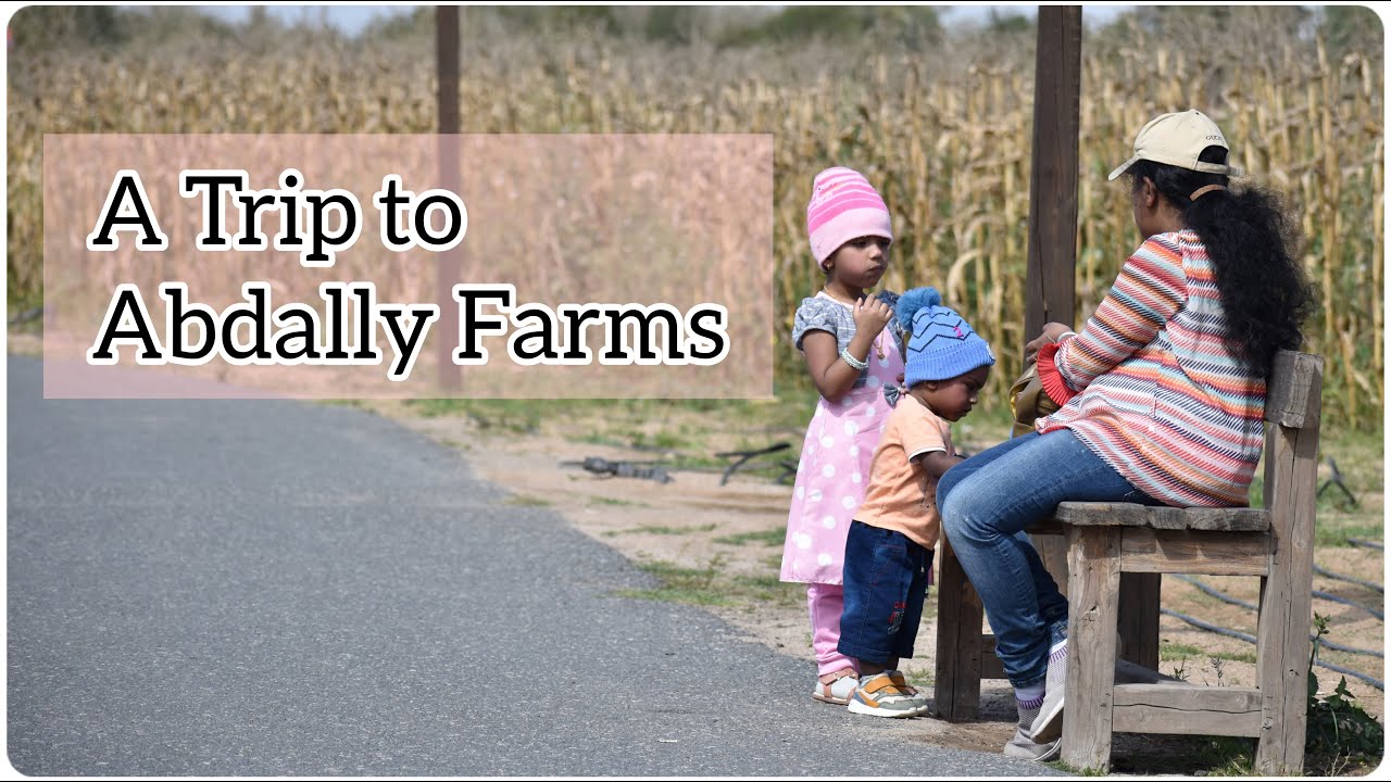A Trip to Abdally Farms, Kuwait - YouTube