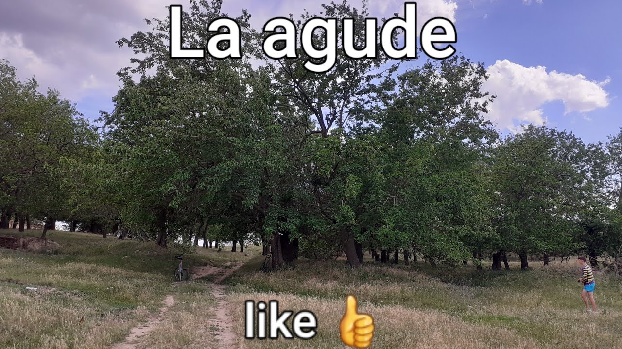 Am fost la agude!👍😃 - YouTube