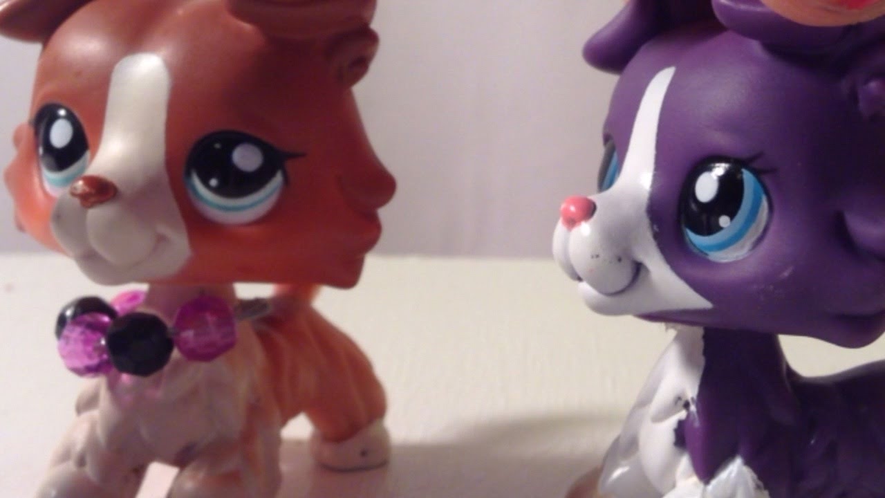 Lps random shorts(14+) - YouTube