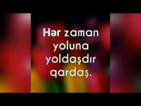 Statuslar(3)