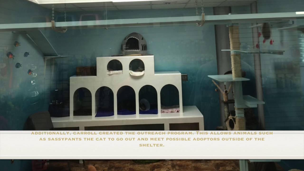 WFMM[Bailey] - YouTube