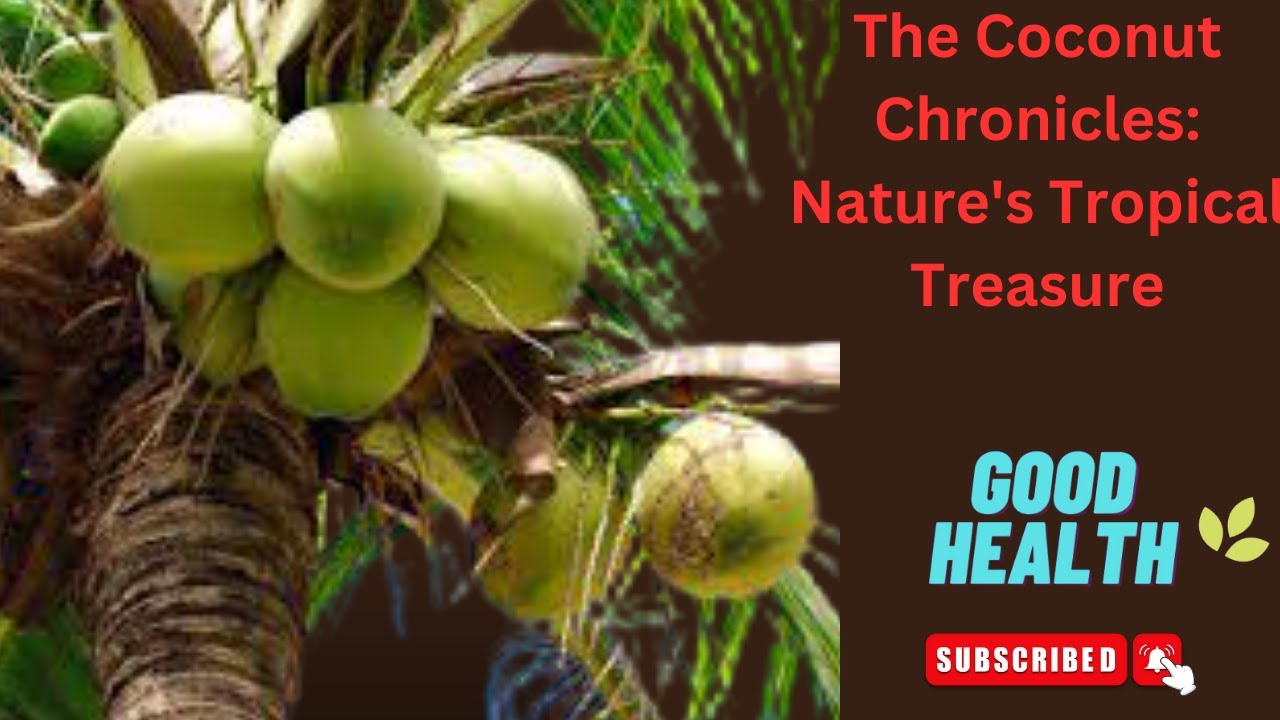 The Coconut Chronicles: Nature's Tropical Treasure#coconut - YouTube