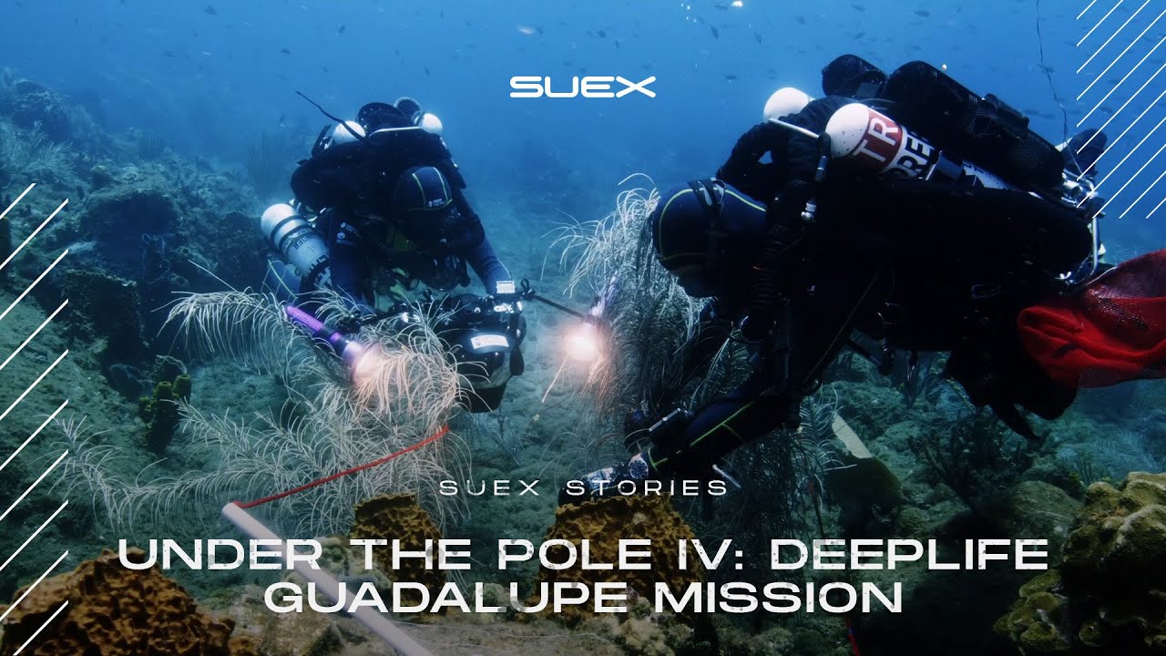 EP 22 UNDER THE POLE IV: DEEP LIFE - YouTube