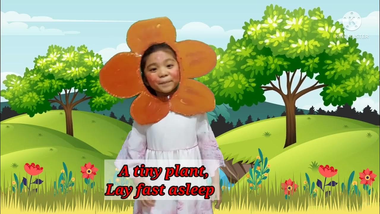 The Little Plant Poem with action - YouTube