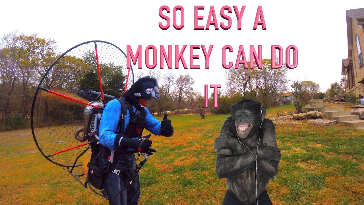 PPG So easy, a monkey can do it!🐒 JK - YouTube